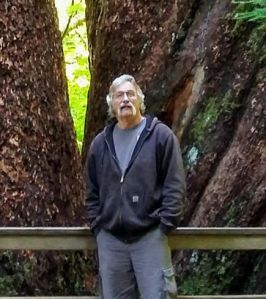 Shannon Winslow's "Jane Austen Says…" | the official website & blog of ...